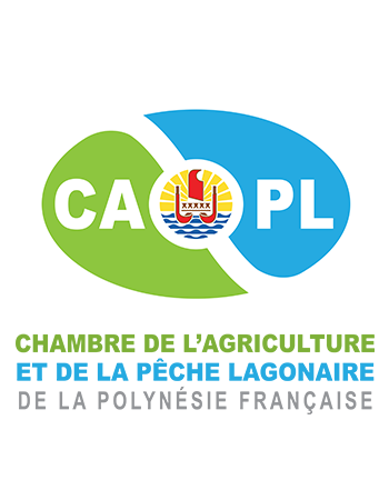 La Chambre | CAPL