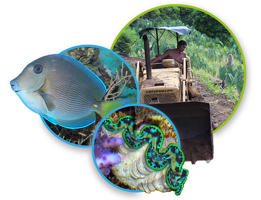 CAPL | Chambre de l'Agriculture et de la Pêche Lagonaire