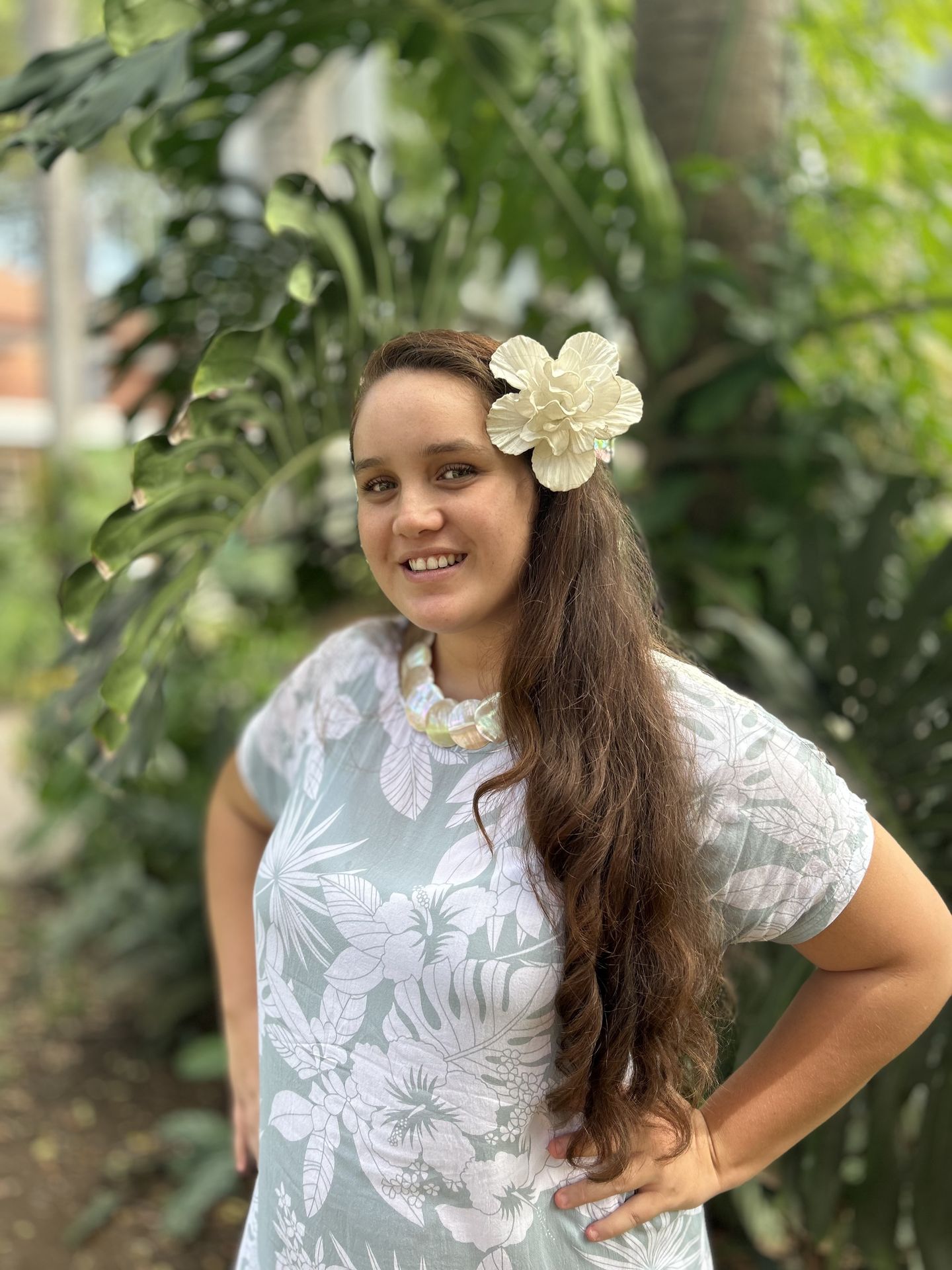 SAF Service Administratif et Financier | CAPL