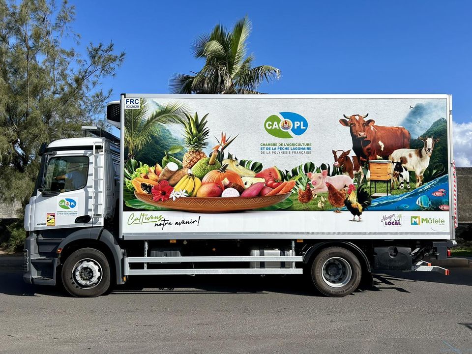 La CAPL : Un allié précieux pour la réussite des PROFESSIONNELS | CAPL