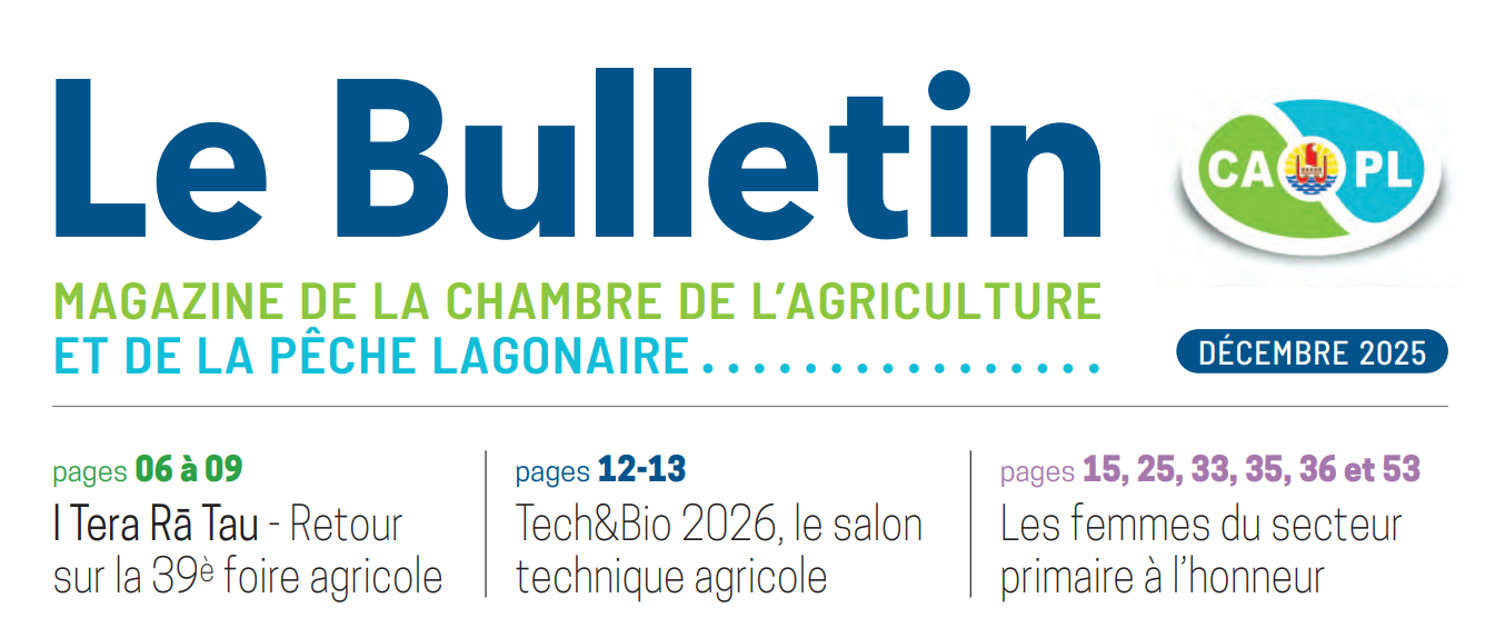 Bulletin CAPL Décembre 2025 | CAPL